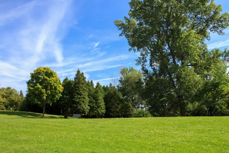 7 Top picnic spots in Ottawa to visit this summer | CAA North & East ...